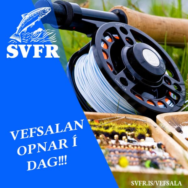Fréttir - SVFR